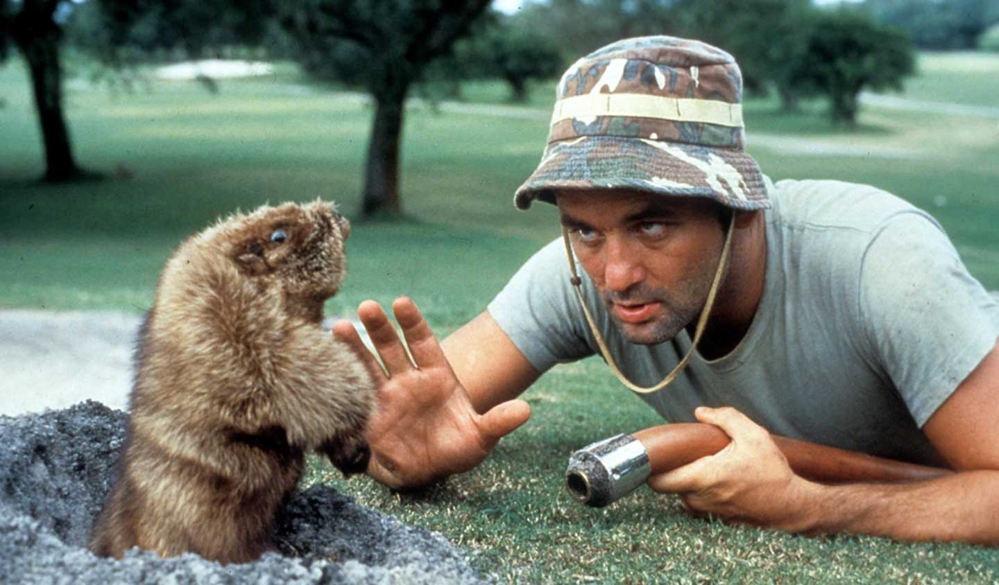 8 Best Bill Murray Quotes From Caddyshack - Bring Back Dialup