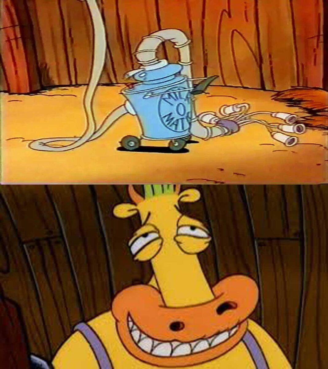 17 Adult Jokes in Rocko's Modern Life You Missed as a Kid