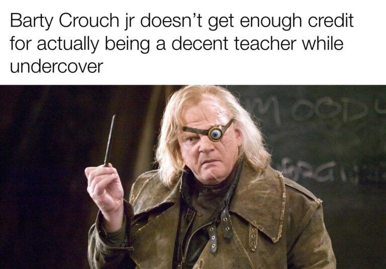 30 Harry Potter Memes That’ll Make You Want To Rewatch Everything