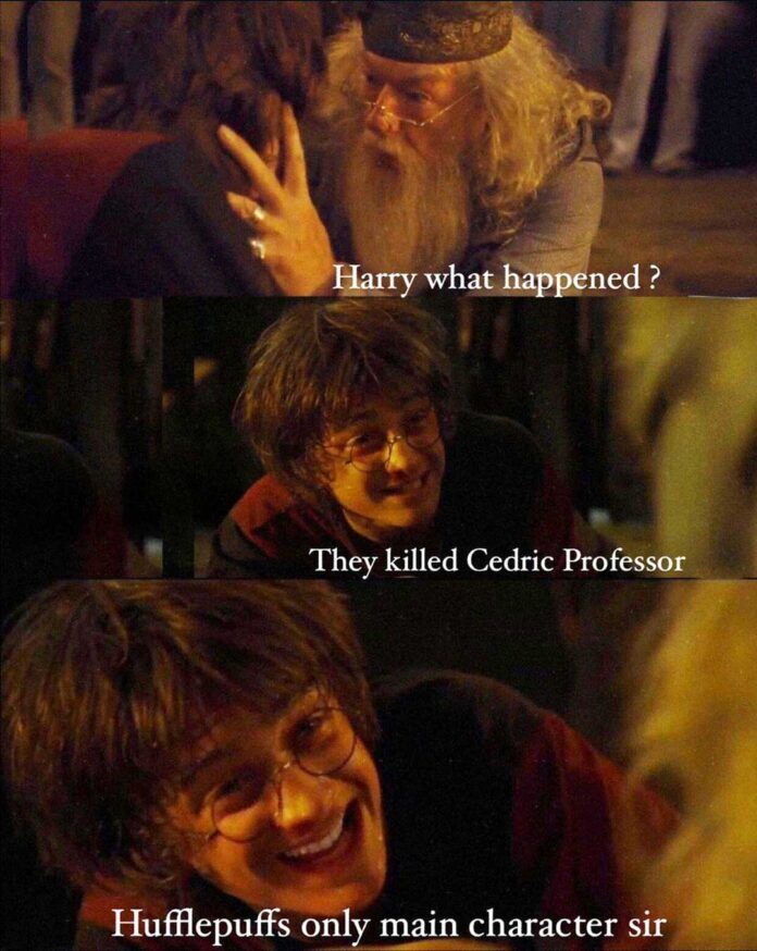 30 Harry Potter Memes That’ll Make You Want To Rewatch Everything
