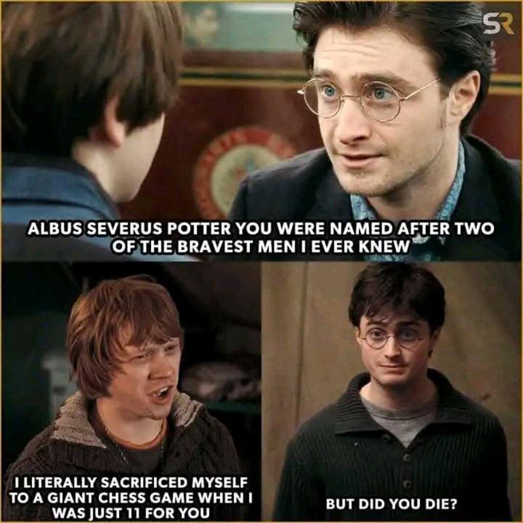 30 Harry Potter Memes That’ll Make You Want To Rewatch Everything