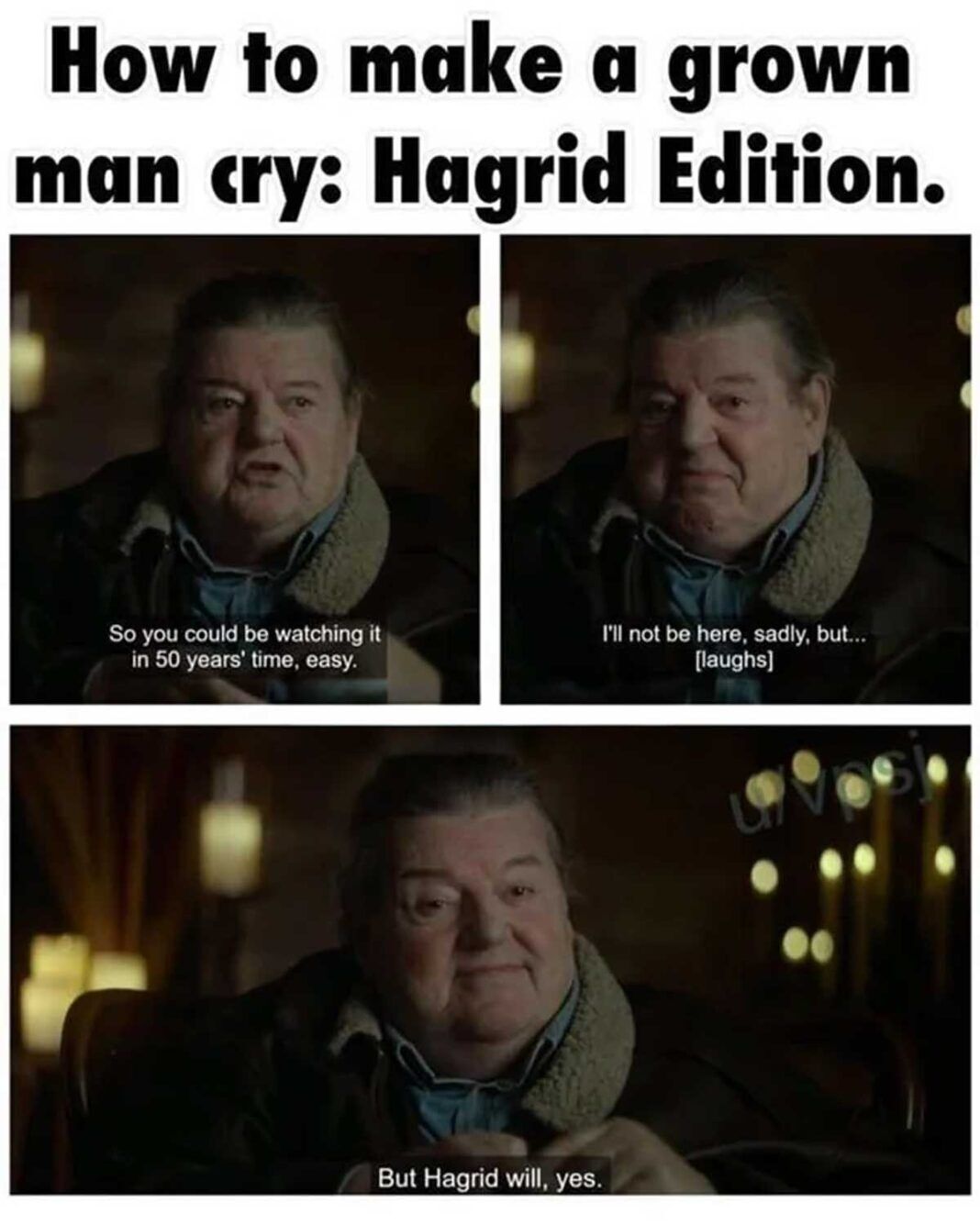 30 Harry Potter Memes That’ll Make You Want To Rewatch Everything