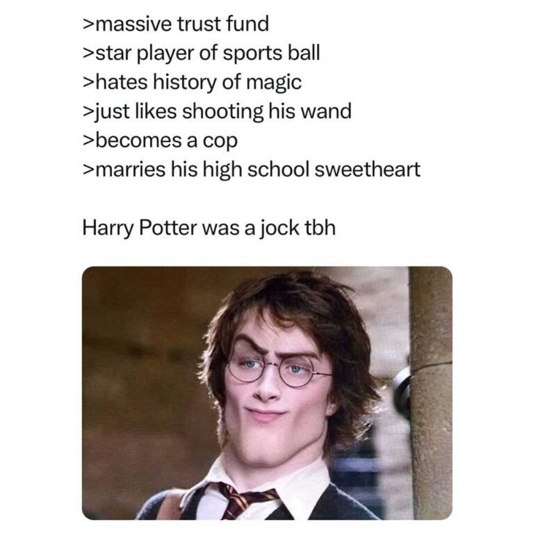 30 Harry Potter Memes That’ll Make You Want To Rewatch Everything