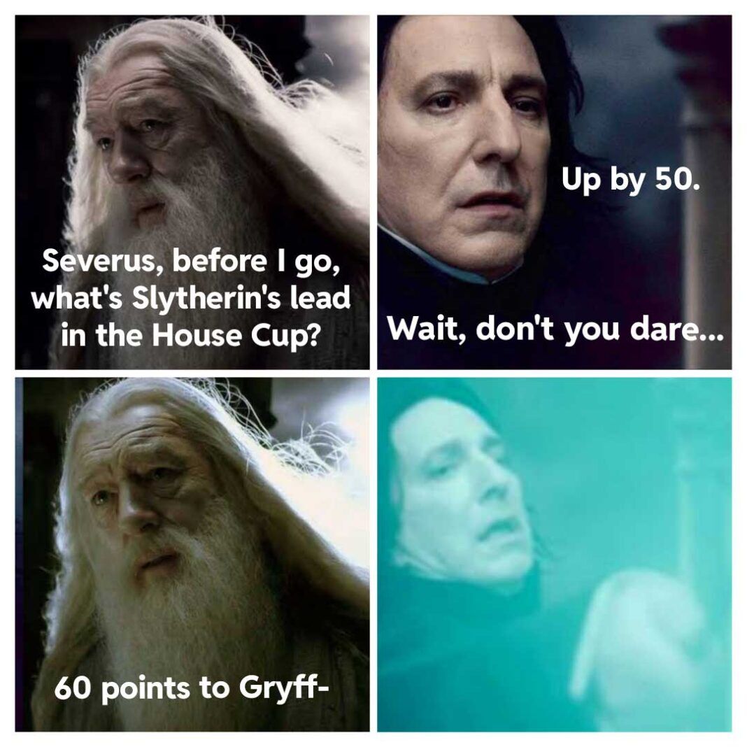 30 Harry Potter Memes That’ll Make You Want To Rewatch Everything