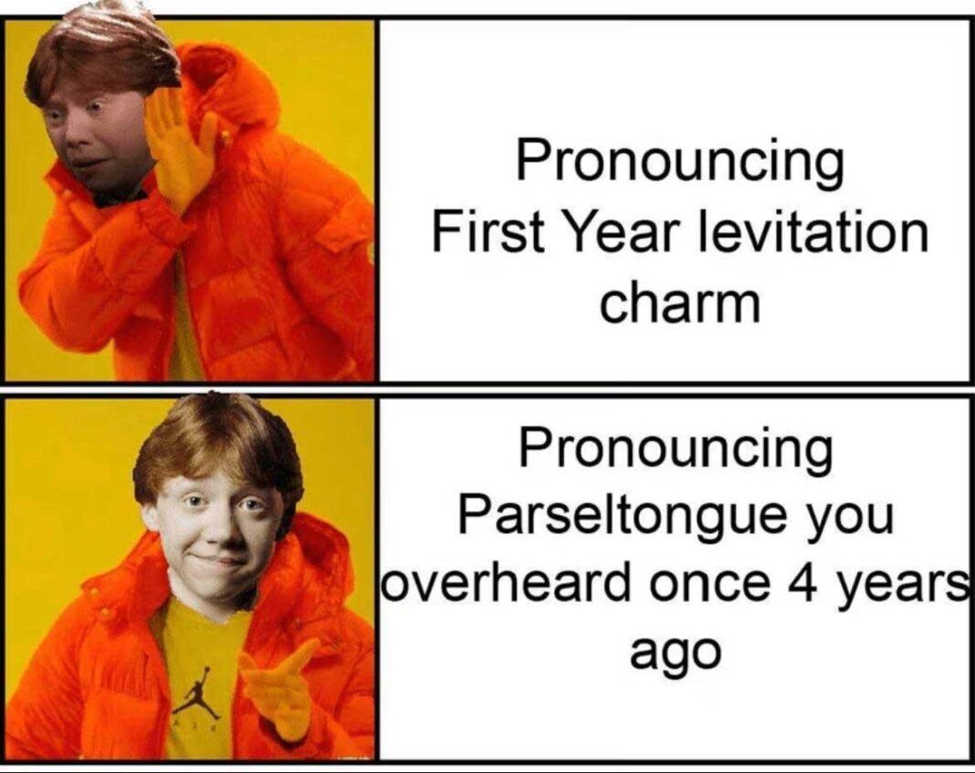 30 Harry Potter Memes That’ll Make You Want To Rewatch Everything