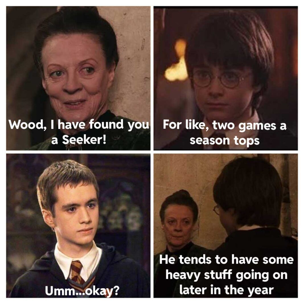 30 Harry Potter Memes That’ll Make You Want To Rewatch Everything